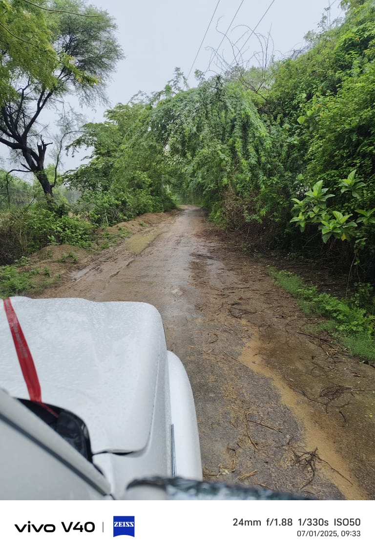 सड़क किनारे झाड़ियों ने बढ़ाई मुश्किलें, ग्रामीणों ने की सफाई की मांग ...