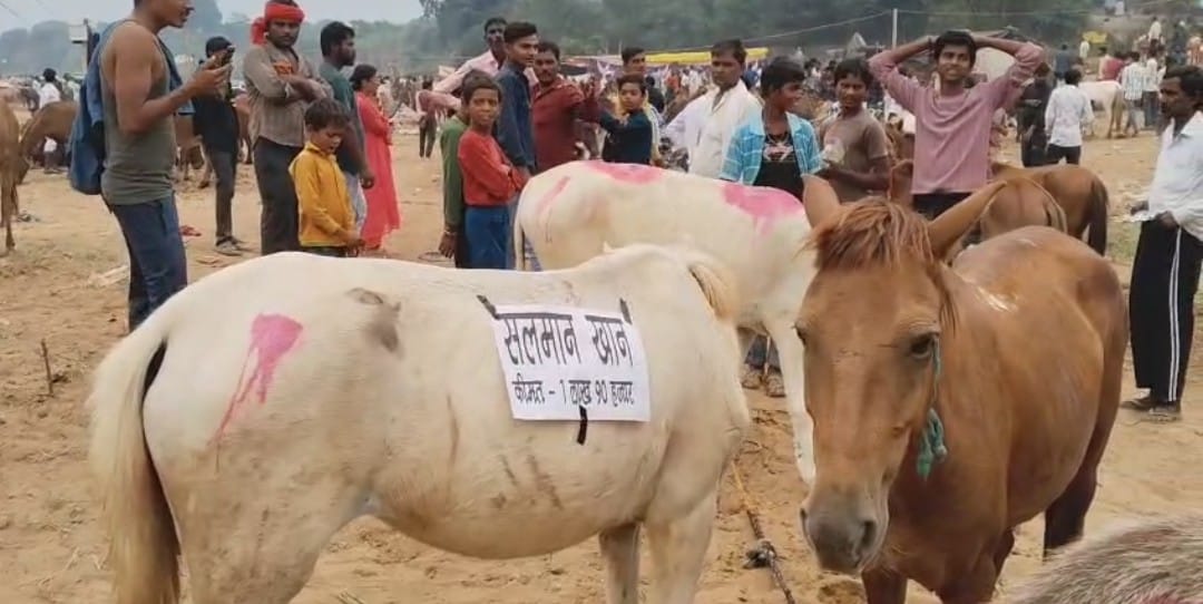चित्रकूट में लगा देश का सबसे अनोखा गधा मेला - Jan Expresslive